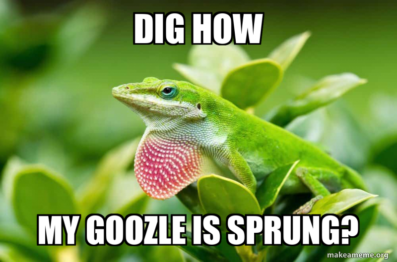 Dig how My goozle is sprung? Meme Generator