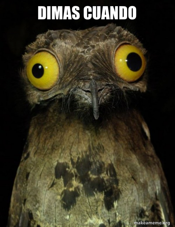 dimas cuando - Weird Stuff I do Potoo Meme Generator