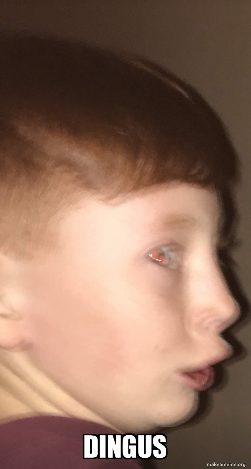 Dingus Meme Generator