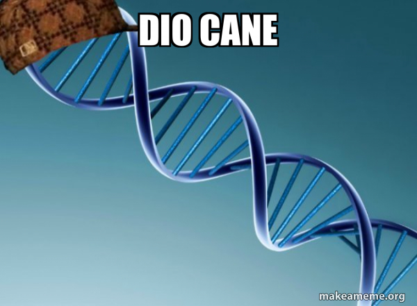 dio cane - Scumbag Genetics Meme Generator