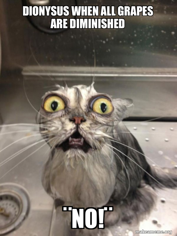 Dionysus When All Grapes Are Diminished ¨NO!¨ - Cat bath Meme Generator