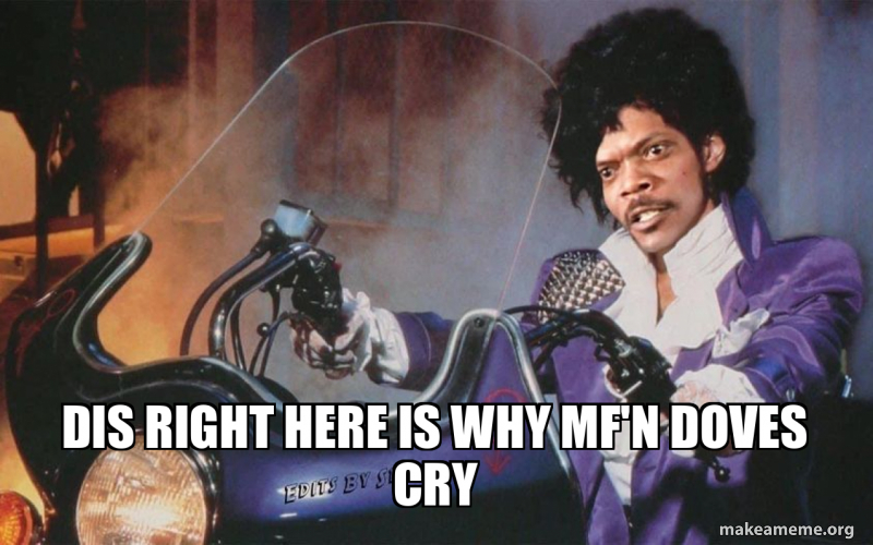 dis right here is why mf'n doves cry Meme Generator