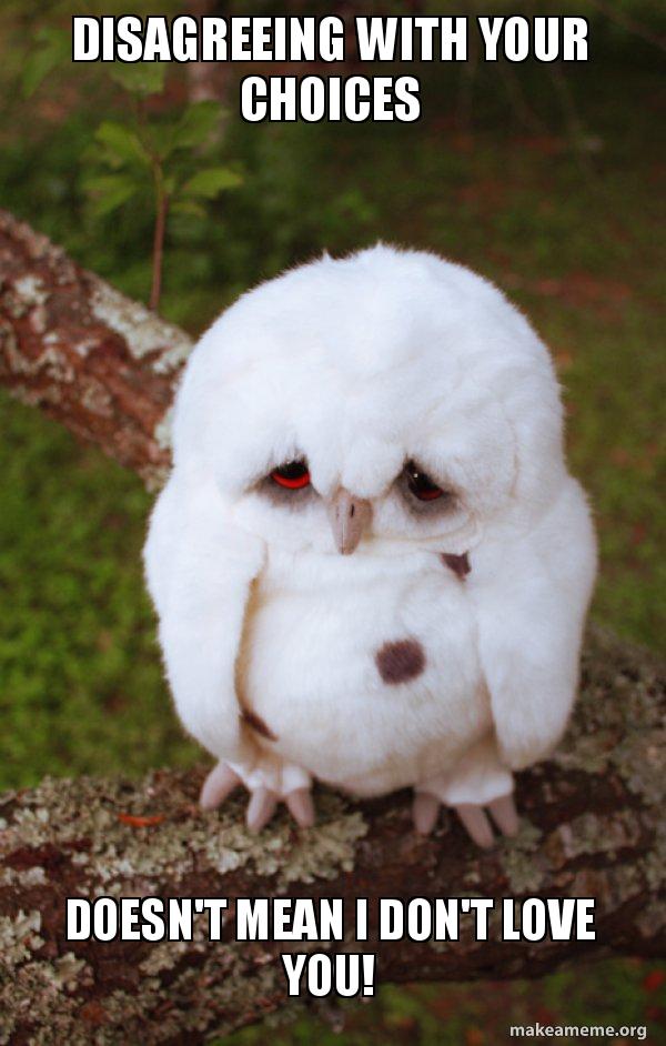Disagreeing with your Choices Doesn't mean I don't love you! - Sad Owl ...