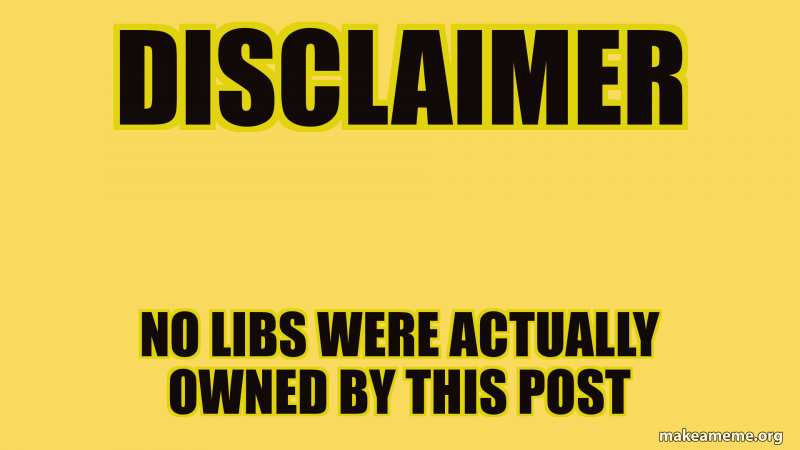 Disclaimer No libs were actually owned by this post Meme Generator