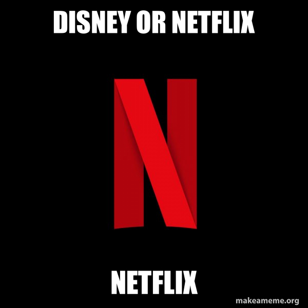 Disney or Netflix Netflix - Netflix Meme Generator