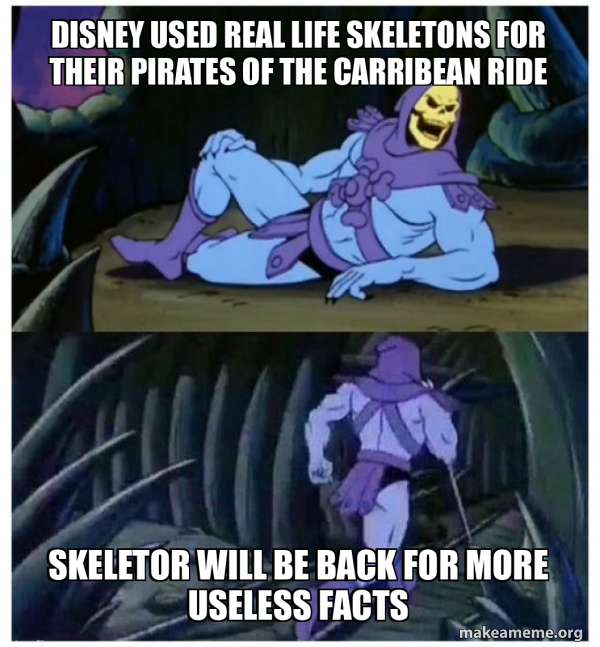 disney used real life skeletons for their pirates of the carribean ride ...