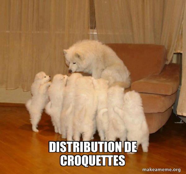 distribution de croquettes - Storytelling Dog Meme Generator