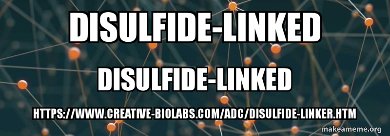 disulfide-linked disulfide-linked https://www.creative-biolabs.com/adc ...