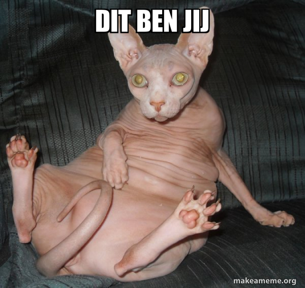 dit ben jij - Hairless Cat Meme Generator