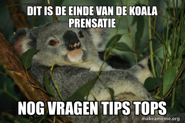 dit is de einde van de koala prensatie nog vragen tips tops - Laid Back ...
