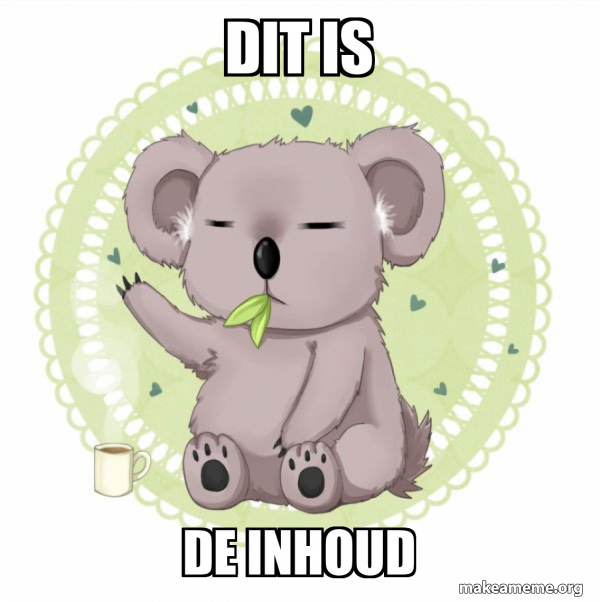 dit is de inhoud - Aussie Koala doing the night shift Meme Generator