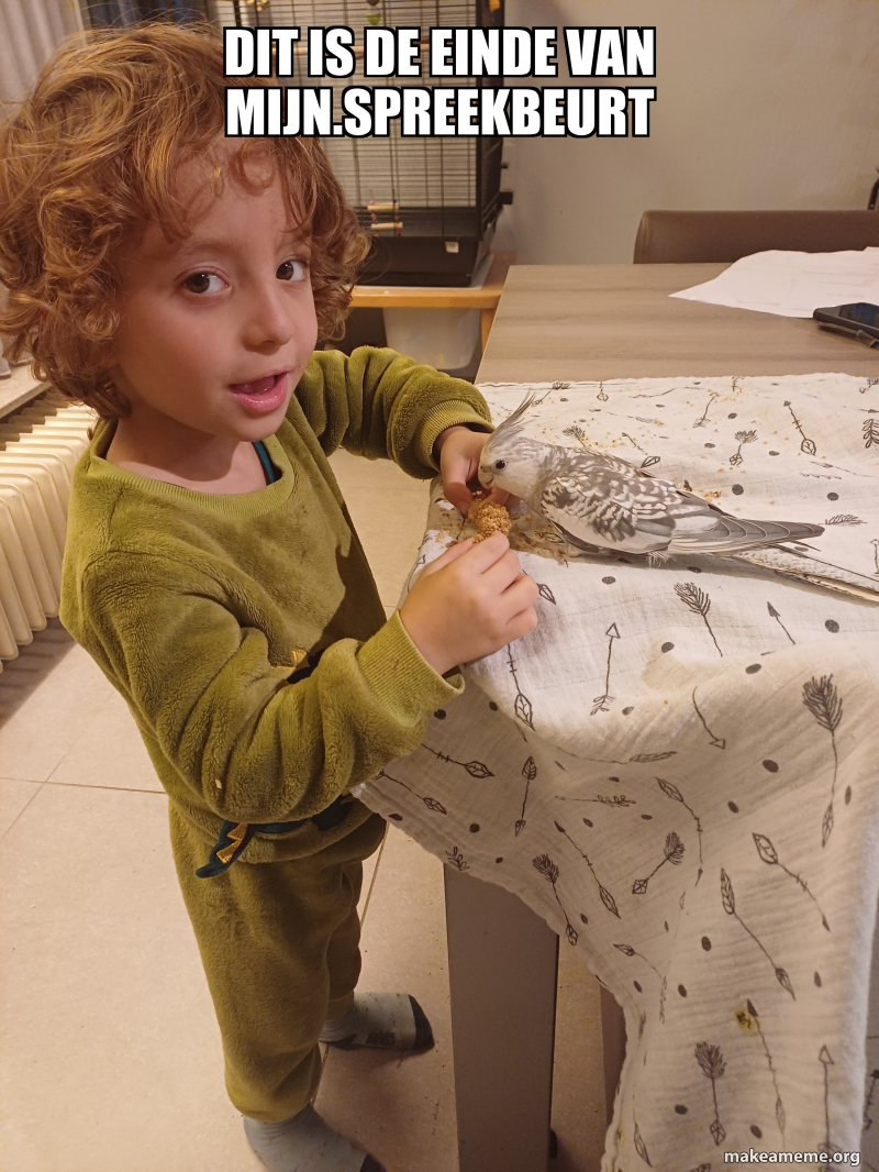 Dit is de einde van mijn.spreekbeurt Meme Generator