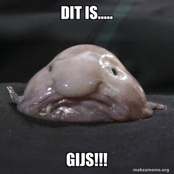 Dit is..... Gijs!!! - Blobfish Meme Generator