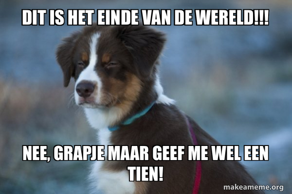 dit is het einde van de wereld!!! nee, grapje maar geef me wel een tien ...