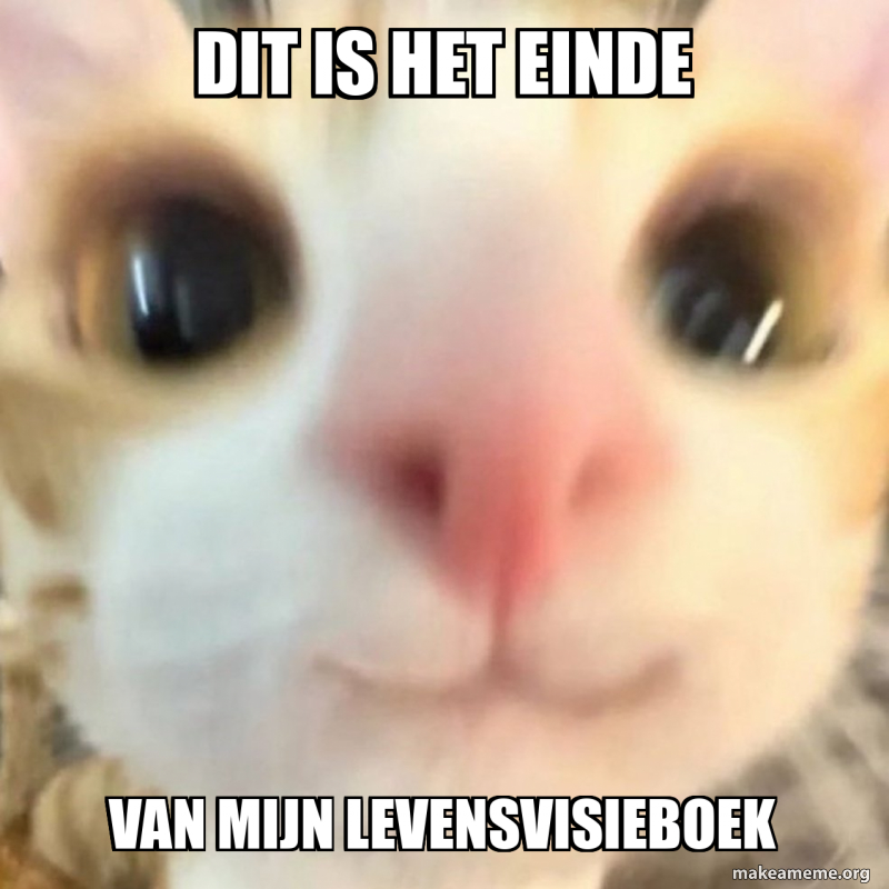 Dit is het einde van mijn levensvisieboek Meme Generator