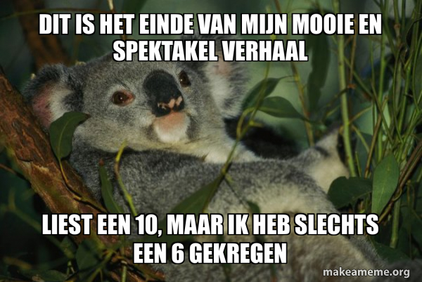Dit is het einde van mijn mooie en spektakel verhaal Liest een 10, maar ...