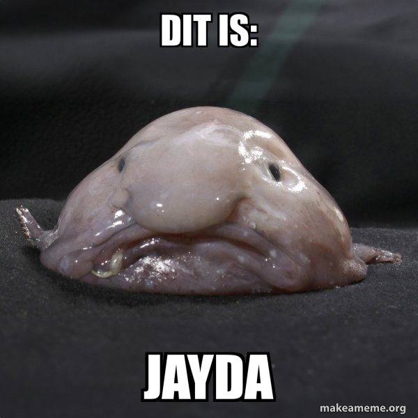 DIT IS: JAYDA - Blobfish Meme Generator