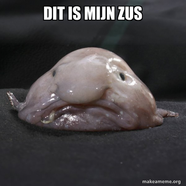 Dit is mijn zus - Blobfish Meme Generator