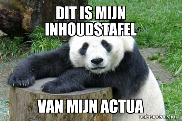 dit is mijn inhoudstafel van mijn actua - Confession Panda Meme Generator