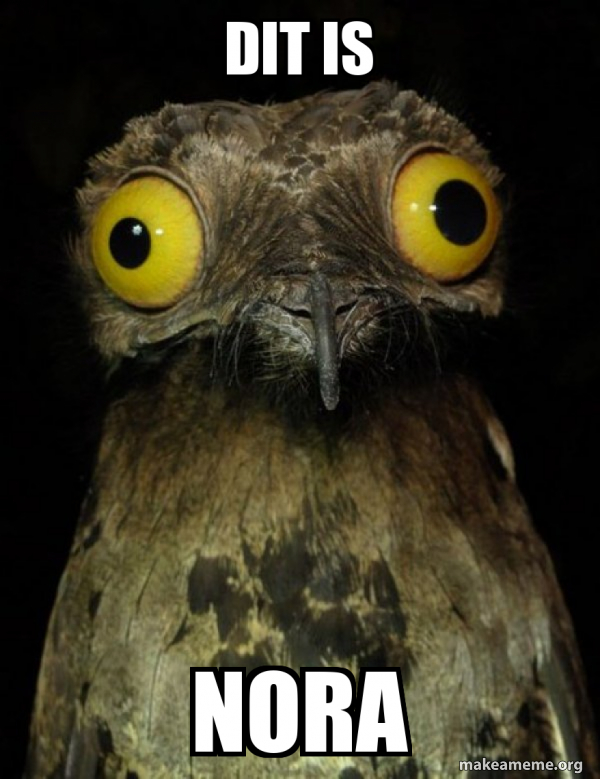 dit is nora - Weird Stuff I do Potoo Meme Generator