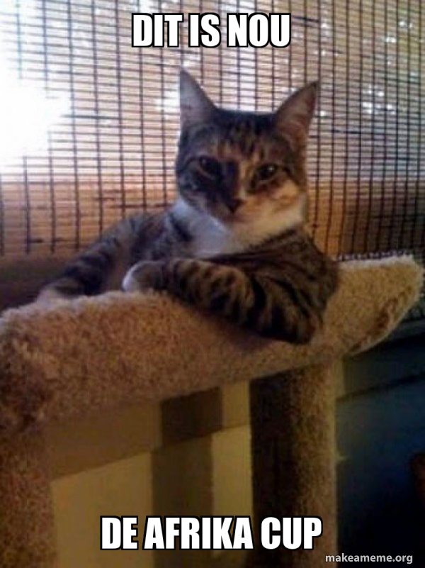 dit is nou de afrika cup - The Most Interesting Cat in the World Meme ...