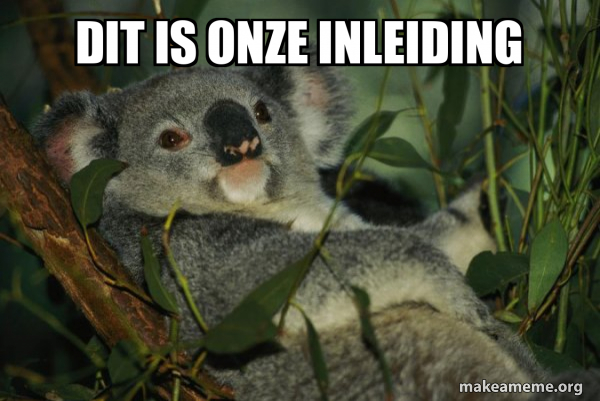 dit is onze inleiding - Laid Back Koala Meme Generator