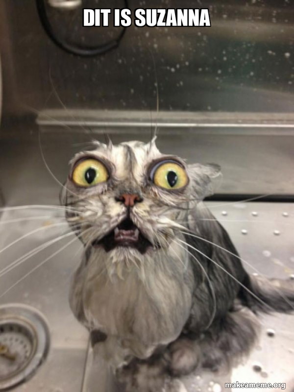 dit is suzanna - Cat bath Meme Generator