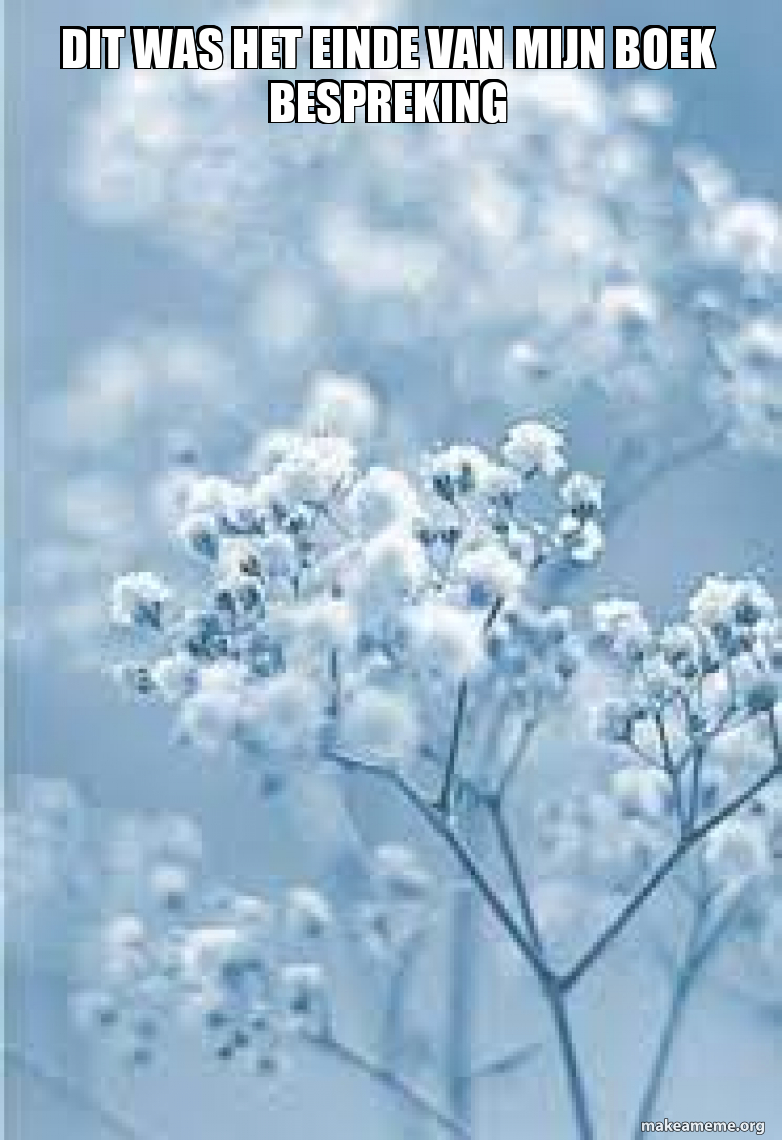 dit was het einde van mijn boek bespreking Meme Generator