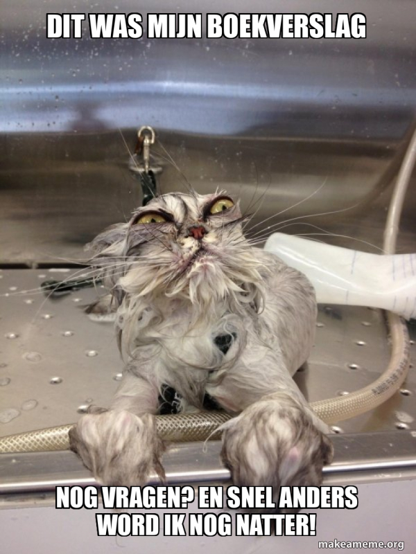 Dit was mijn boekverslag Nog vragen? En snel anders word ik nog natter ...