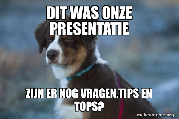 dit was onze presentatie zijn er nog vragen,tips en tops? - Unsure Dog ...