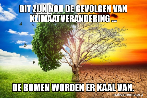 dit zijn nou de gevolgen van klimaatverandering ... de bomen worden er ...