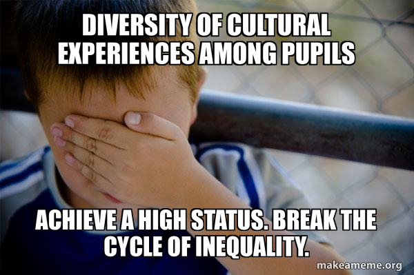 Diversity of cultural experiences among pupils Achieve a high status ...