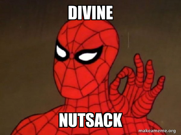 Divine Nutsack - Spiderman - Care factor Zero Meme Generator