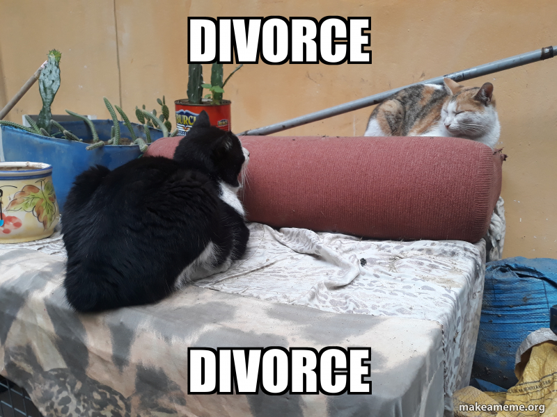 Divorce Divorce Meme Generator