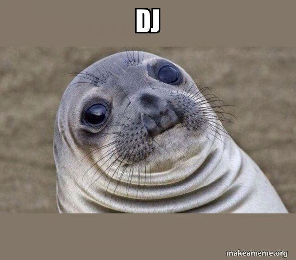 dj - Squeamish Seal Meme Generator
