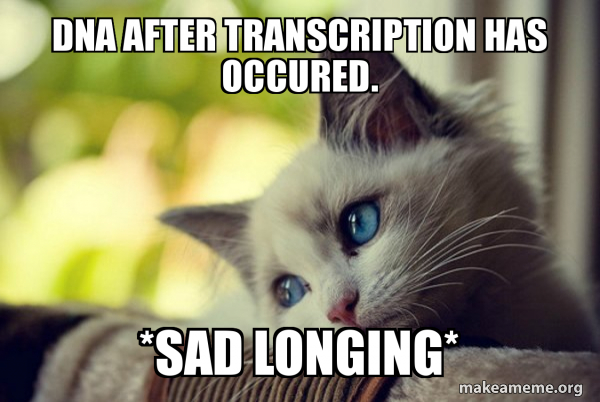 DNA after transcription has occured. *sad longing* - First World Cat ...
