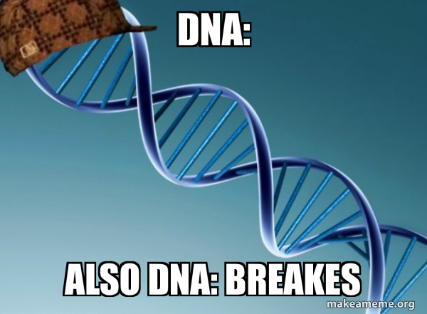 DNA: Also DNA: breakes - Scumbag Genetics Meme Generator