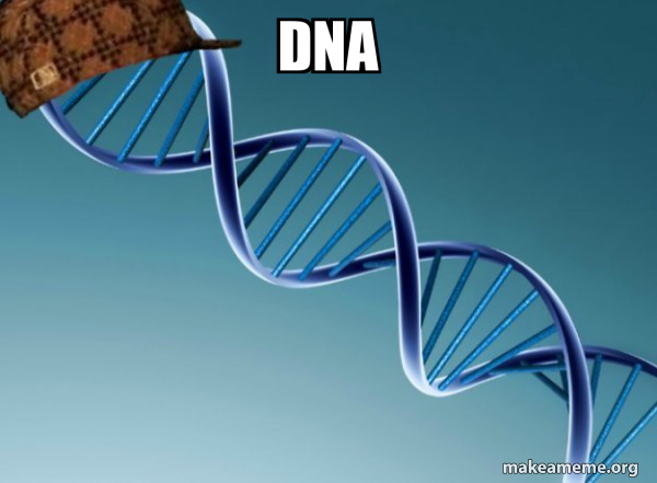 DNA - Scumbag Genetics Meme Generator