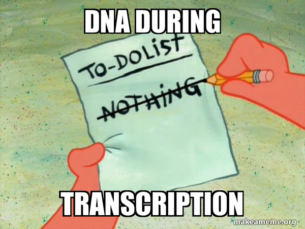 Funny Dna Memes