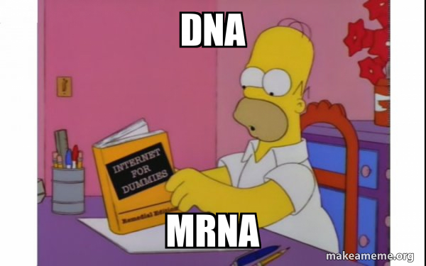 DNA mRNA - Computer Homer Meme Generator