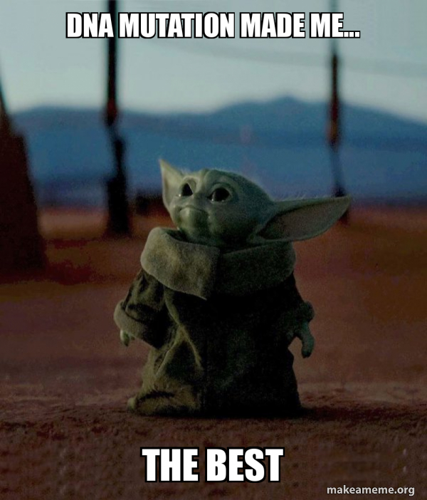 DNA mutation made me... The Best - Baby Yoda | Make a Meme