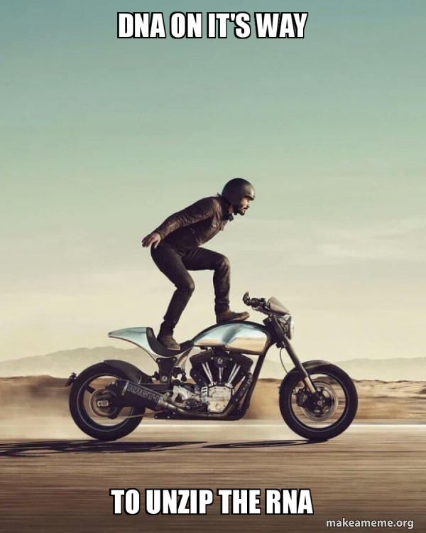 DNA on it's way to unzip the RNA - Keanu Reeves Stunt Bike Meme Generator