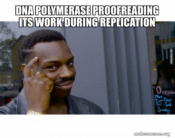 DNA Polymerase proofreading its work during replication - Roll Safe ...