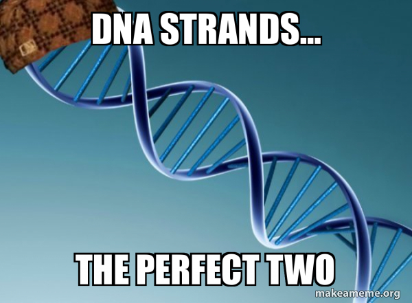 DNA strands... the perfect two - Scumbag Genetics Meme Generator