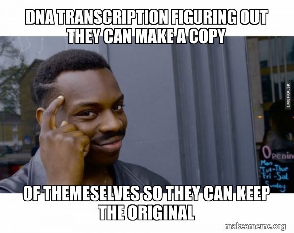 dna transcription figuring out they can make a copy of themeselves so ...