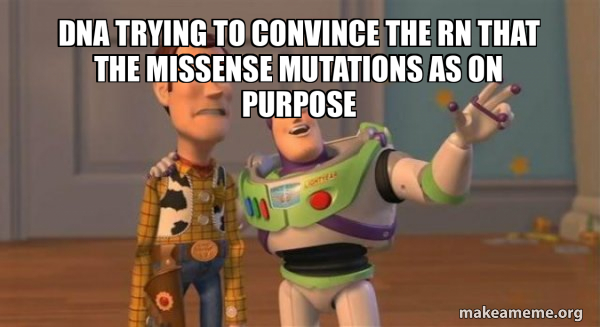 DNA trying to convince the Rn that the missense mutations as on purpose ...