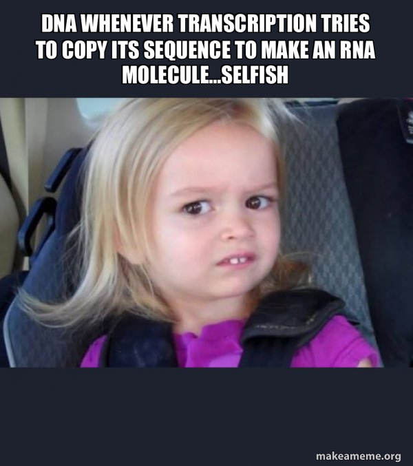 DNA whenever Transcription tries to copy its sequence to make an RNA ...