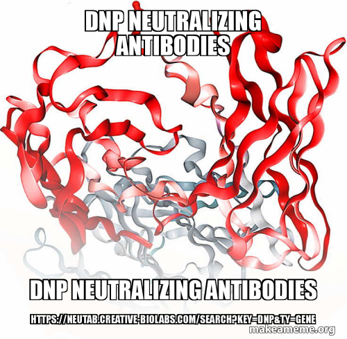 DNP neutralizing antibodies DNP neutralizing antibodies https://neutab ...