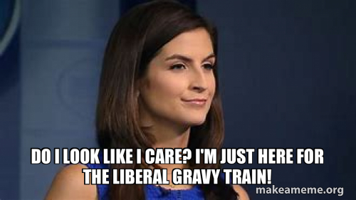 do i look like i care? i'm just here for the liberal gravy train! Meme ...