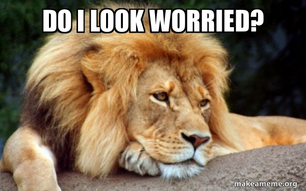 Do I look worried? - Confession Lion Meme Generator